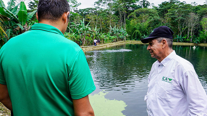 ICA implementa controles a enfermedades en peces de cultivo en El Tarra