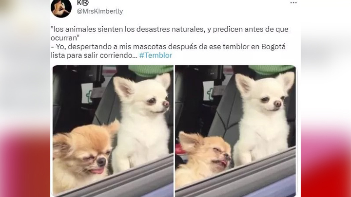 Los Memes Que Dejó El Fuerte Temblor En Colombia